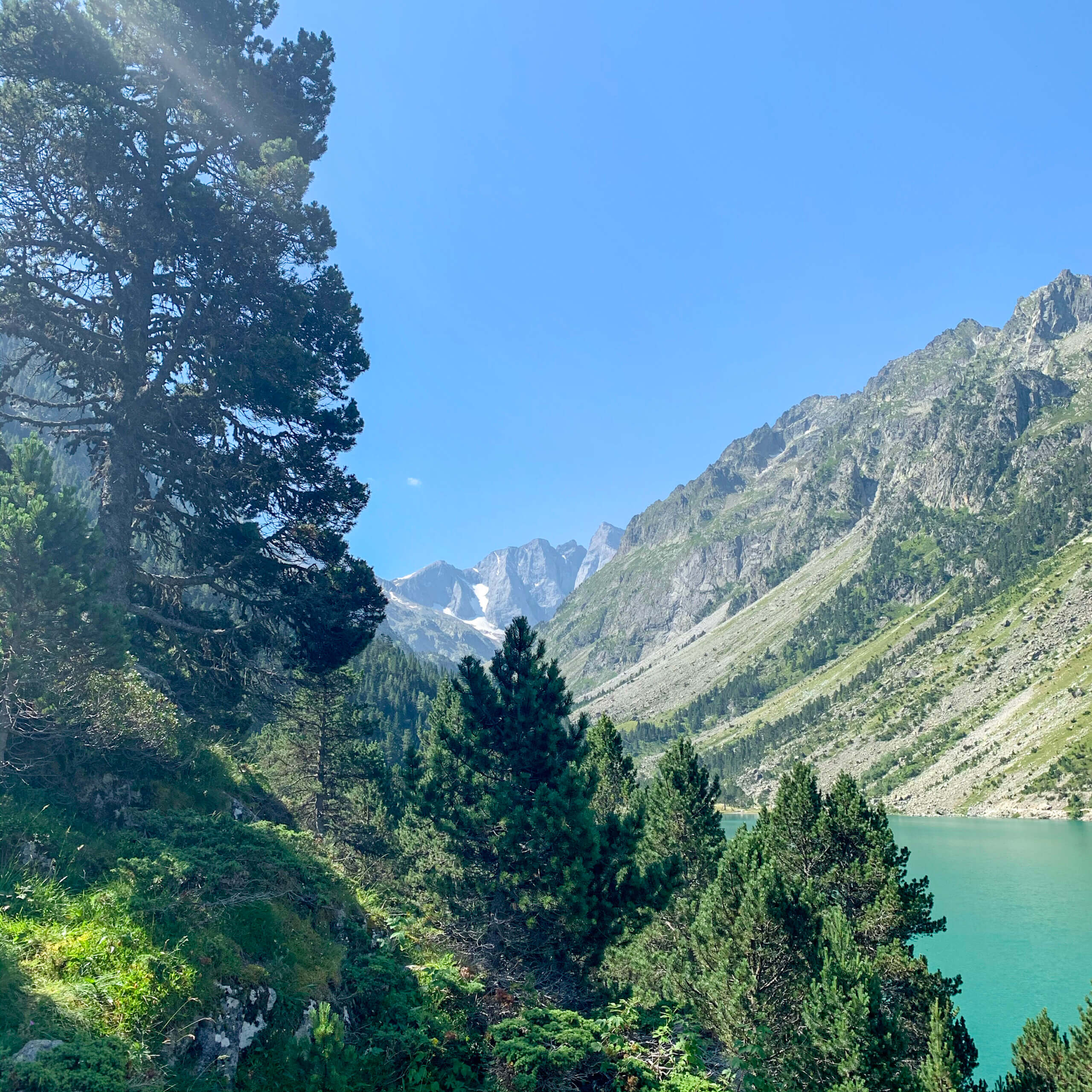 La tête dans les nuages • Studio TJP